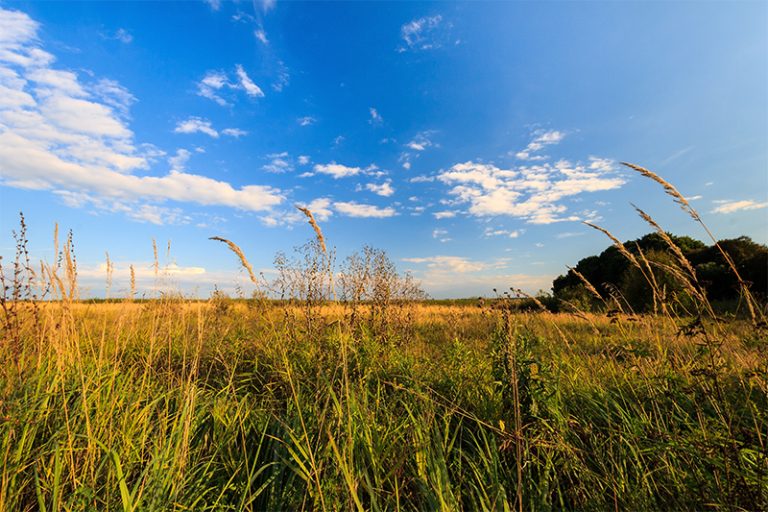 Aurora Environmental Services – Aurora Environmental Services